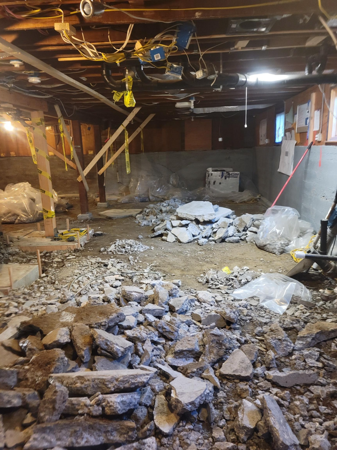 Craftsman Family-Friendly Basement - Model Remodel