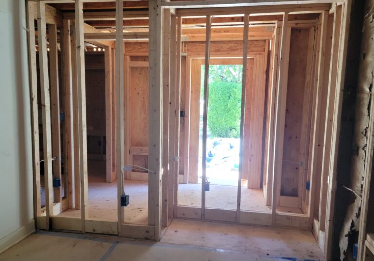 Transformative Addition with Tasteful Interiors - Model Remodel